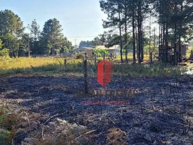 Terreno / Lote para Venda em Arroio do Sal/RS Balneário Pinus Park