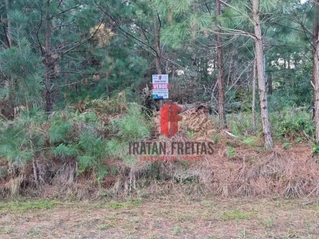 Terreno / Lote para Venda em Arroio do Sal/RS Balneário Pinus Park