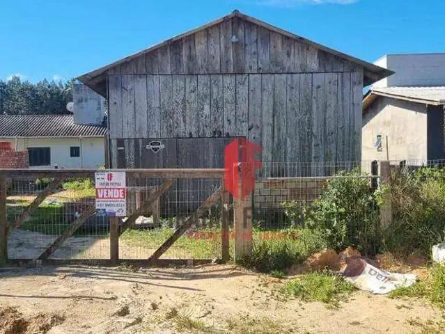 Terreno / Lote para Venda em Arroio do Sal/RS Balneário Pinus Park