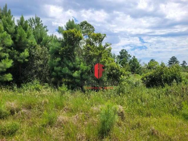 Terreno / Lote para Venda em Arroio do Sal/RS Balneário Pinus Park