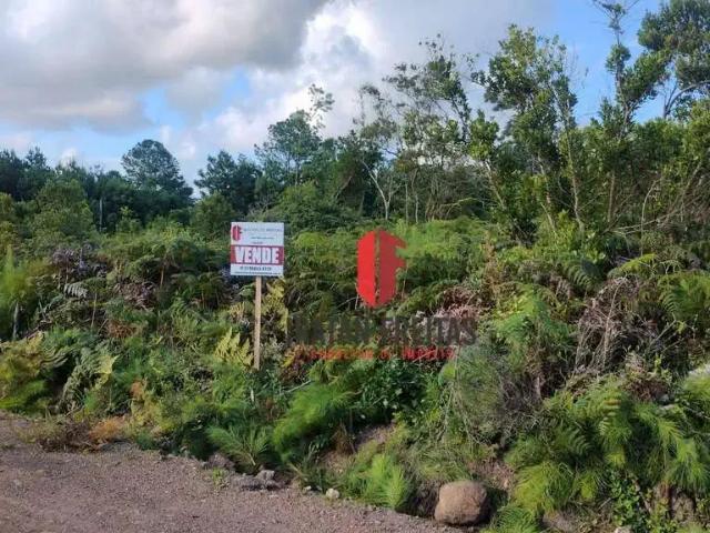 Terreno / Lote para Venda em Arroio do Sal/RS Balneário Pinus Park