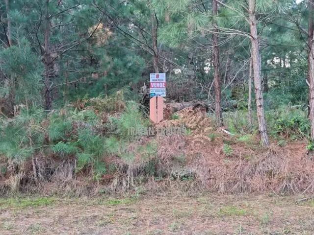 Terreno / Lote para Venda em Arroio do Sal/RS Zona Rural