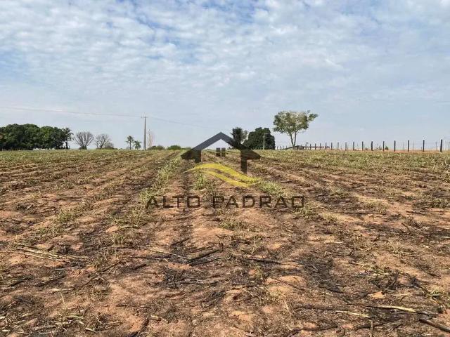 Terreno / Lote para Venda em Artur Nogueira/SP Área Rural de Artur Nogueira