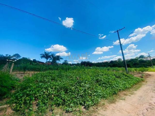 Terreno / Lote para Venda em Artur Nogueira/SP Boa Esperança