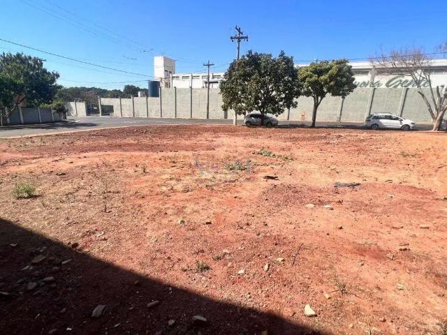 Terreno / Lote para Venda em Artur Nogueira/SP Desmembramento José Capello