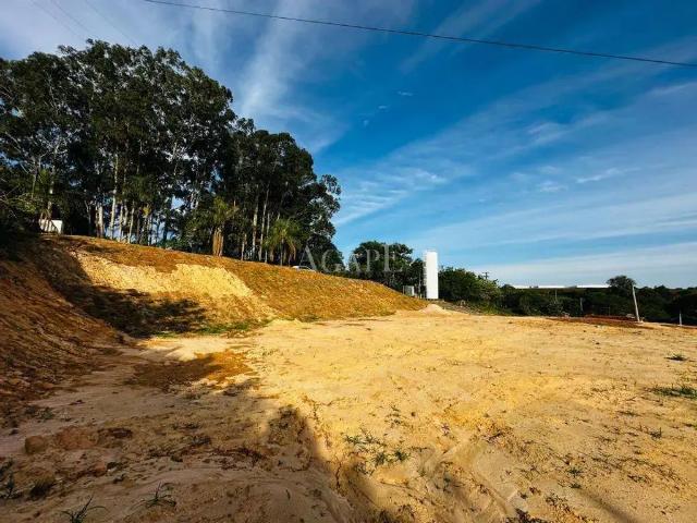 Terreno / Lote para Venda em Artur Nogueira/SP São João das Palmeiras