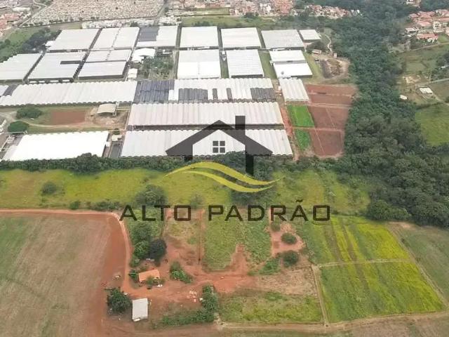 Terreno / Lote para Venda em Artur Nogueira/SP São João dos Pinheiros