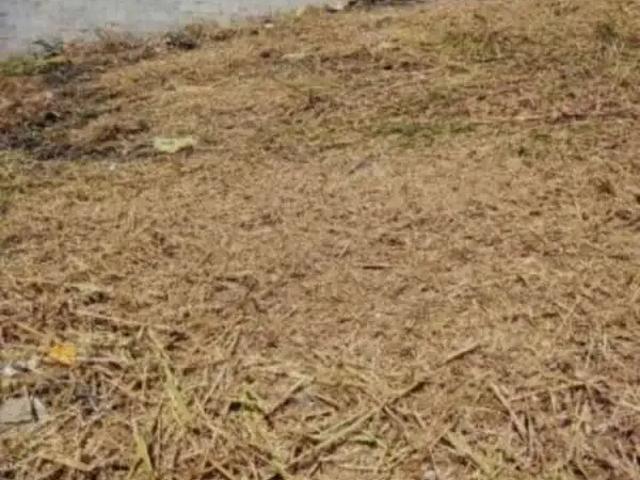 Terreno / Lote para Venda em Arujá/SP Mirante do Arujá