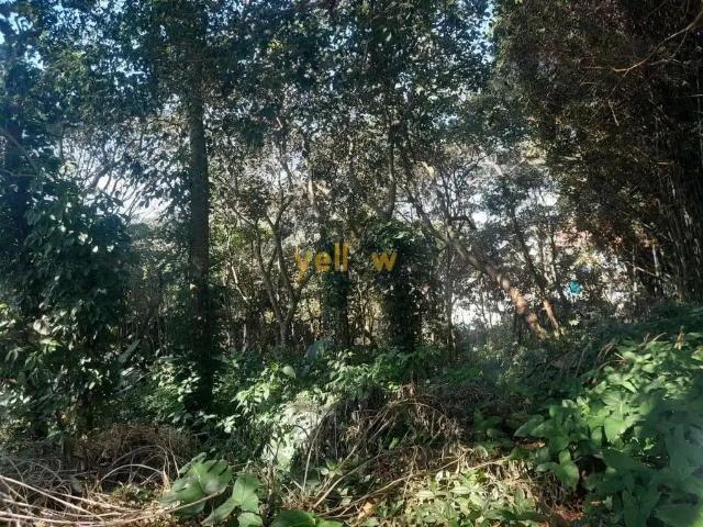 Terreno / Lote para Venda em Arujá/SP Arujázinho I, II e III