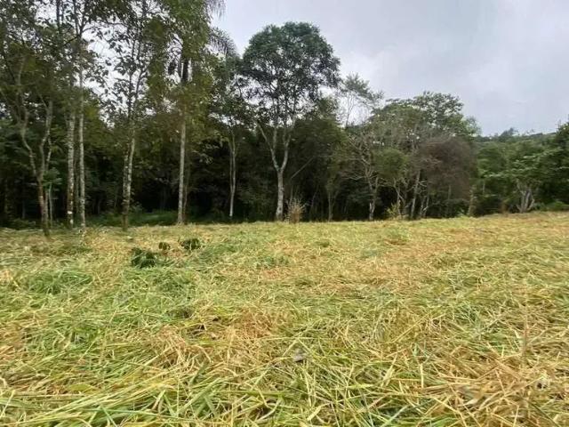Terreno / Lote para Venda em Arujá/SP Canjicas