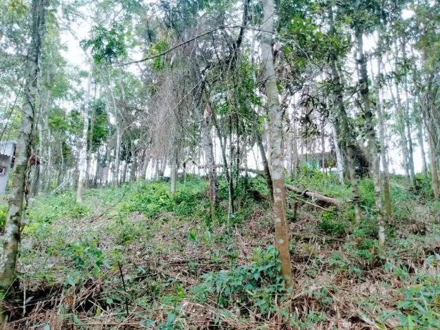 Terreno / Lote para Venda em Arujá/SP Chácaras Copaco