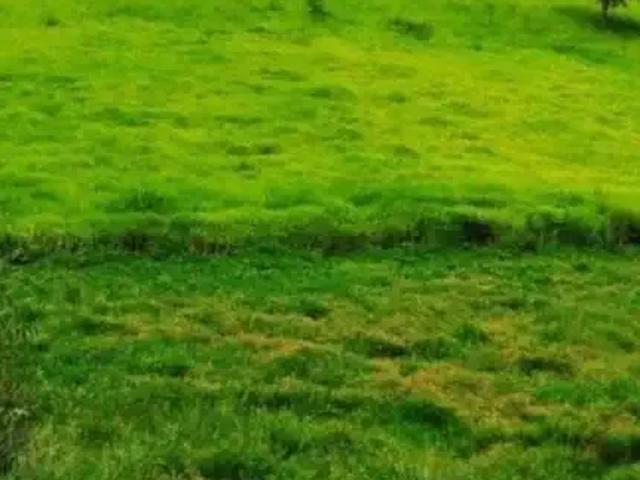 Terreno / Lote para Venda em Arujá/SP Jardim das Cerejeiras