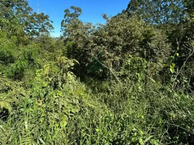 Terreno / Lote para Venda em Atibaia/SP Colina Verde