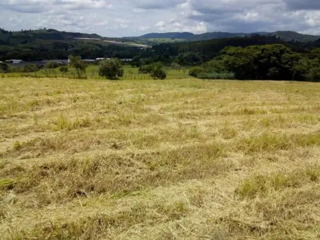 Terreno / Lote para Venda em Atibaia/SP Centro