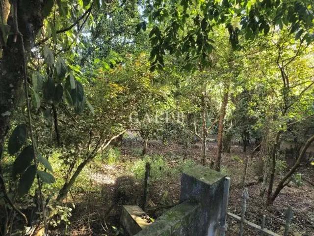 Terreno / Lote para Venda em Atibaia/SP Chácaras Fernão Dias