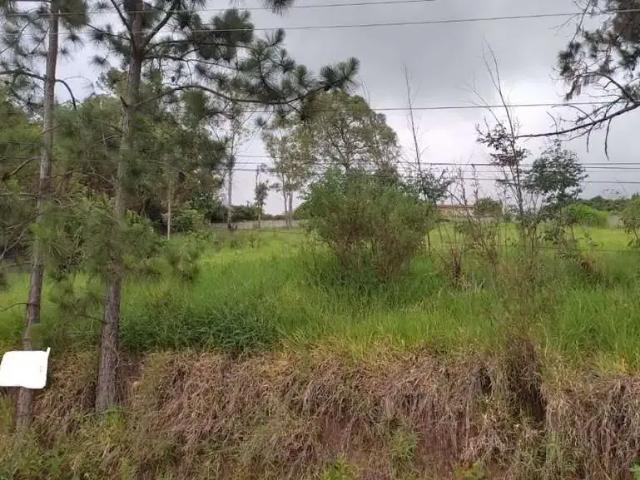 Terreno / Lote para Venda em Atibaia/SP Chácaras Fernão Dias