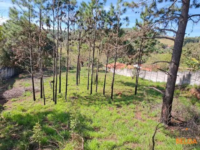 Terreno / Lote para Venda em Atibaia/SP Chácaras Fernão Dias