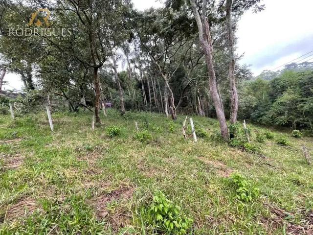 Terreno / Lote para Venda em Atibaia/SP Atibaia Vista da Montanha