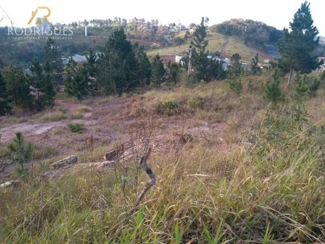 Terreno / Lote para Venda em Atibaia/SP Atibaia Belvedere