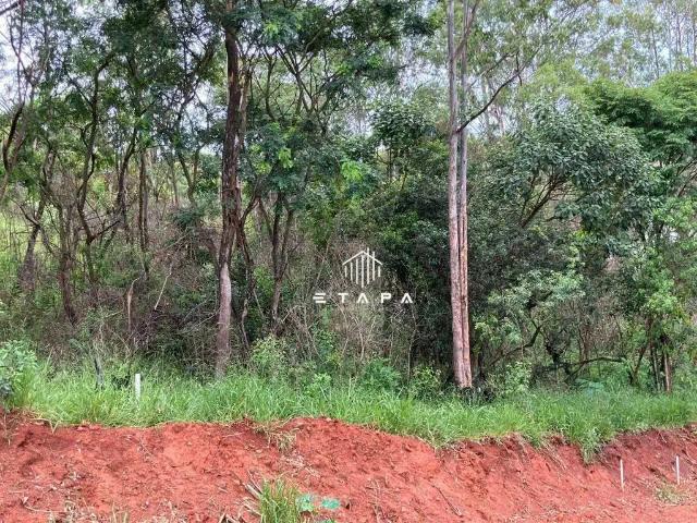 Terreno / Lote para Venda em Atibaia/SP Atibaia Belvedere
