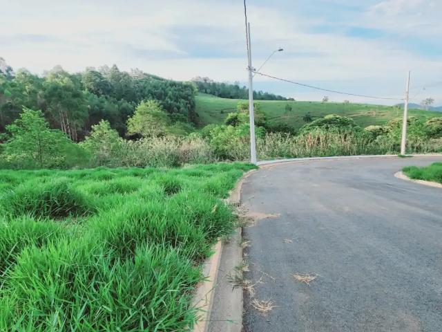 Terreno / Lote para Venda em Atibaia/SP Atibaia Belvedere