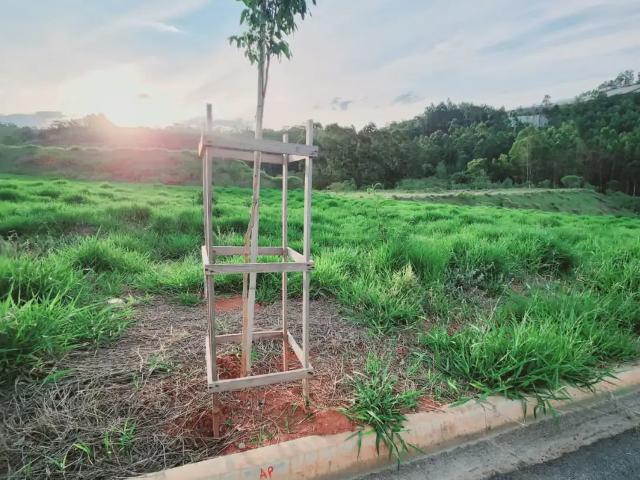 Terreno / Lote para Venda em Atibaia/SP Atibaia Belvedere