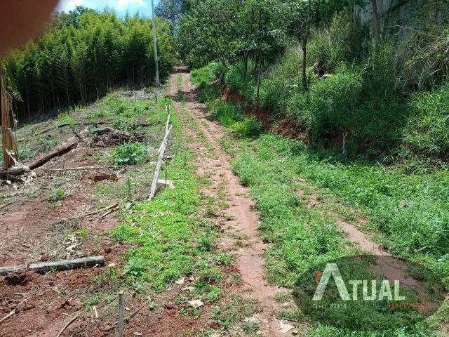 Terreno / Lote para Venda em Atibaia/SP Atibaia Belvedere