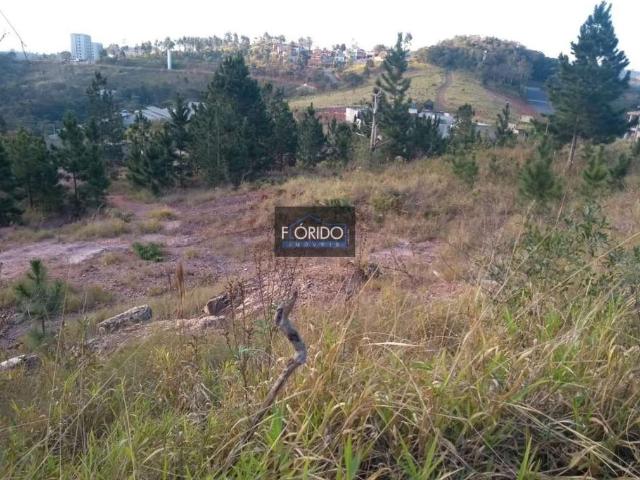 Terreno / Lote para Venda em Atibaia/SP Atibaia Belvedere