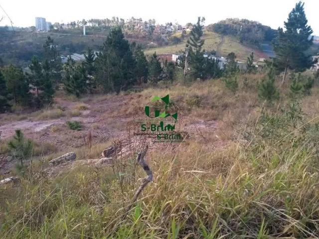 Terreno / Lote para Venda em Atibaia/SP Atibaia Belvedere