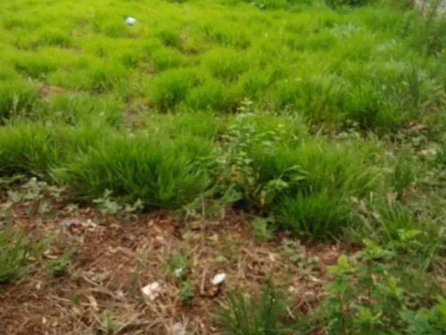 Terreno / Lote para Venda em Atibaia/SP Atibaia Jardim