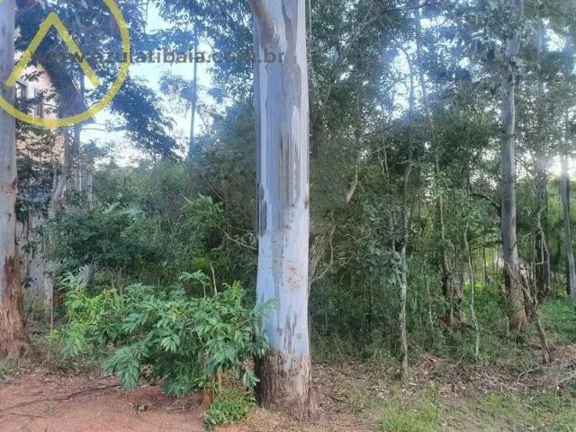 Terreno / Lote para Venda em Atibaia/SP Bosque dos Eucalíptos