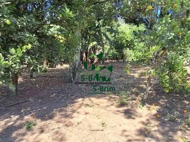 Terreno / Lote para Venda em Atibaia/SP Estância Santa Maria do Laranjal