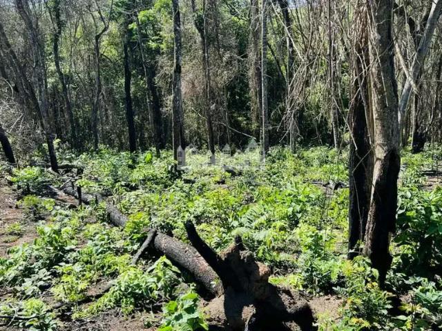 Terreno / Lote para Venda em Atibaia/SP Estância Santa Maria do Laranjal