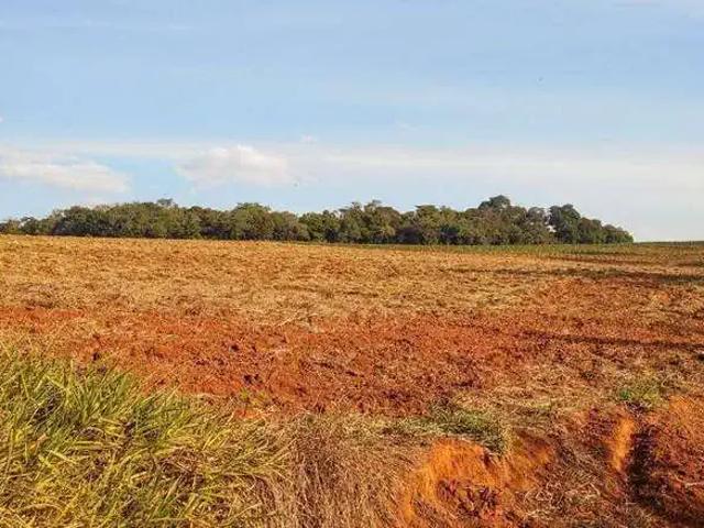 Terreno / Lote para Venda em Atibaia/SP Iara