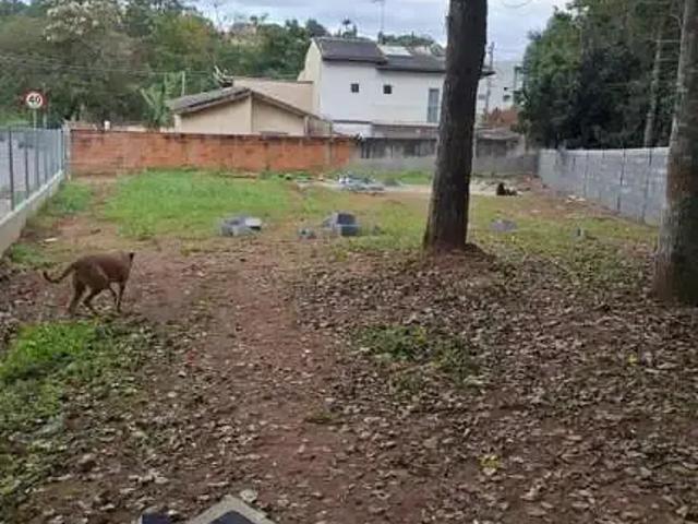 Terreno / Lote para Venda em Atibaia/SP Itapetinga