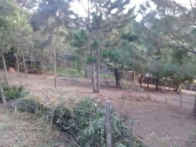 Terreno / Lote para Venda em Atibaia/SP Jardim Maristela