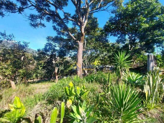 Terreno / Lote para Venda em Atibaia/SP Jardim Maristela
