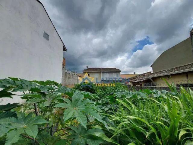 Terreno / Lote para Venda em Atibaia/SP Jardim das Palmeiras