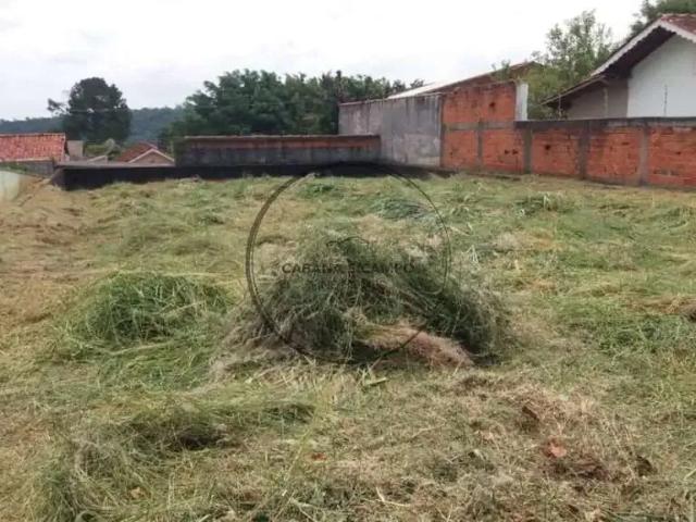 Terreno / Lote para Venda em Atibaia/SP Jardim dos Pinheiros