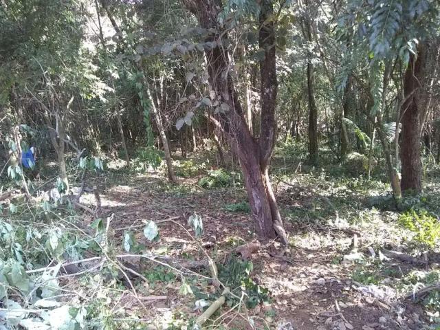 Terreno / Lote para Venda em Atibaia/SP Jardim Estância Brasil