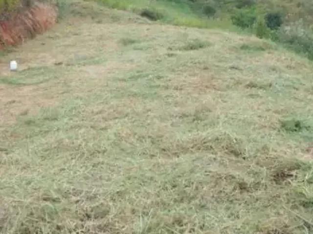 Terreno / Lote para Venda em Atibaia/SP Jardim Estância Brasil