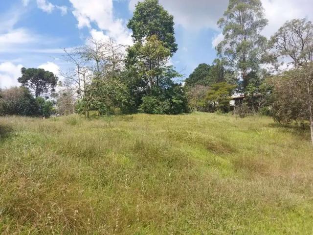 Terreno / Lote para Venda em Atibaia/SP Jardim Paraíso da Usina