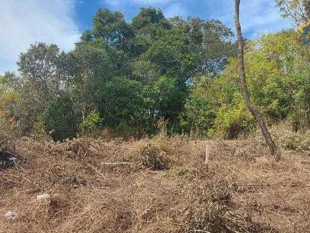Terreno / Lote para Venda em Atibaia/SP Jardim Paraíso da Usina