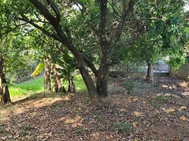 Terreno / Lote para Venda em Atibaia/SP Jardim Paulista