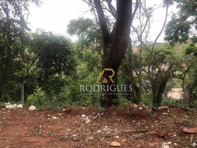 Terreno / Lote para Venda em Atibaia/SP Jardim Paulista