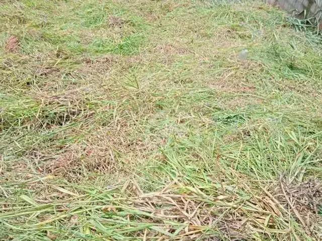 Terreno / Lote para Venda em Atibaia/SP Loteamento Vale das Flores