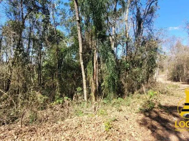 Terreno / Lote para Venda em Atibaia/SP Loteamento Rancho Maringá I