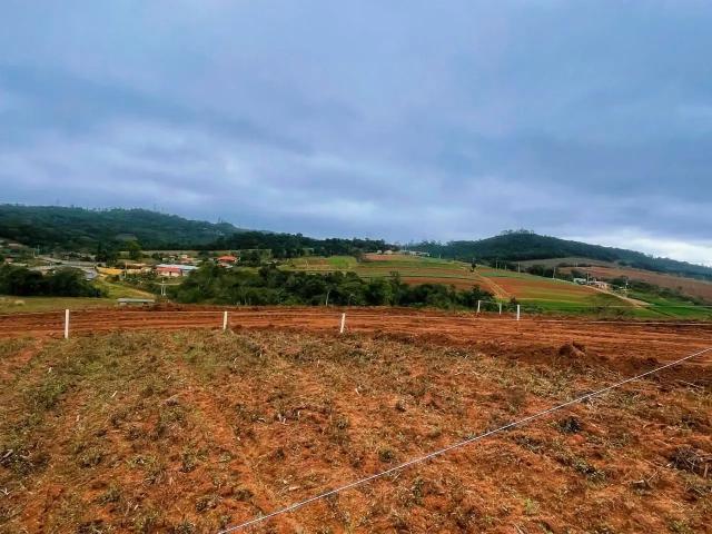 Terreno / Lote para Venda em Atibaia/SP Lagoa