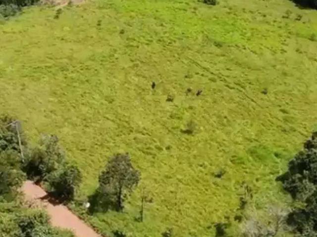 Terreno / Lote para Venda em Atibaia/SP Mato Dentro