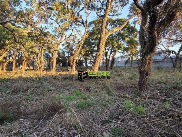 Terreno / Lote para Venda em Atibaia/SP Nova Gardênia